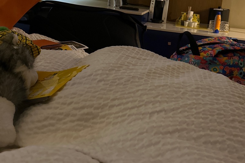 Sniffies App | Official