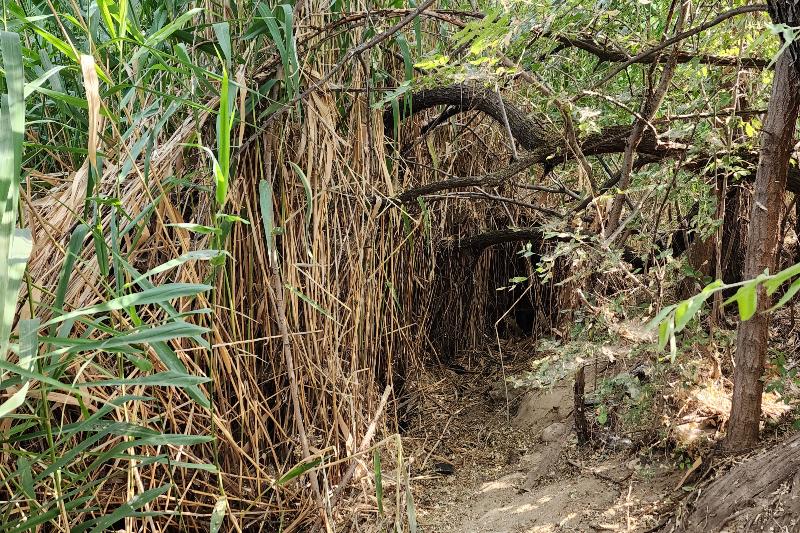 Sniffies App | Official